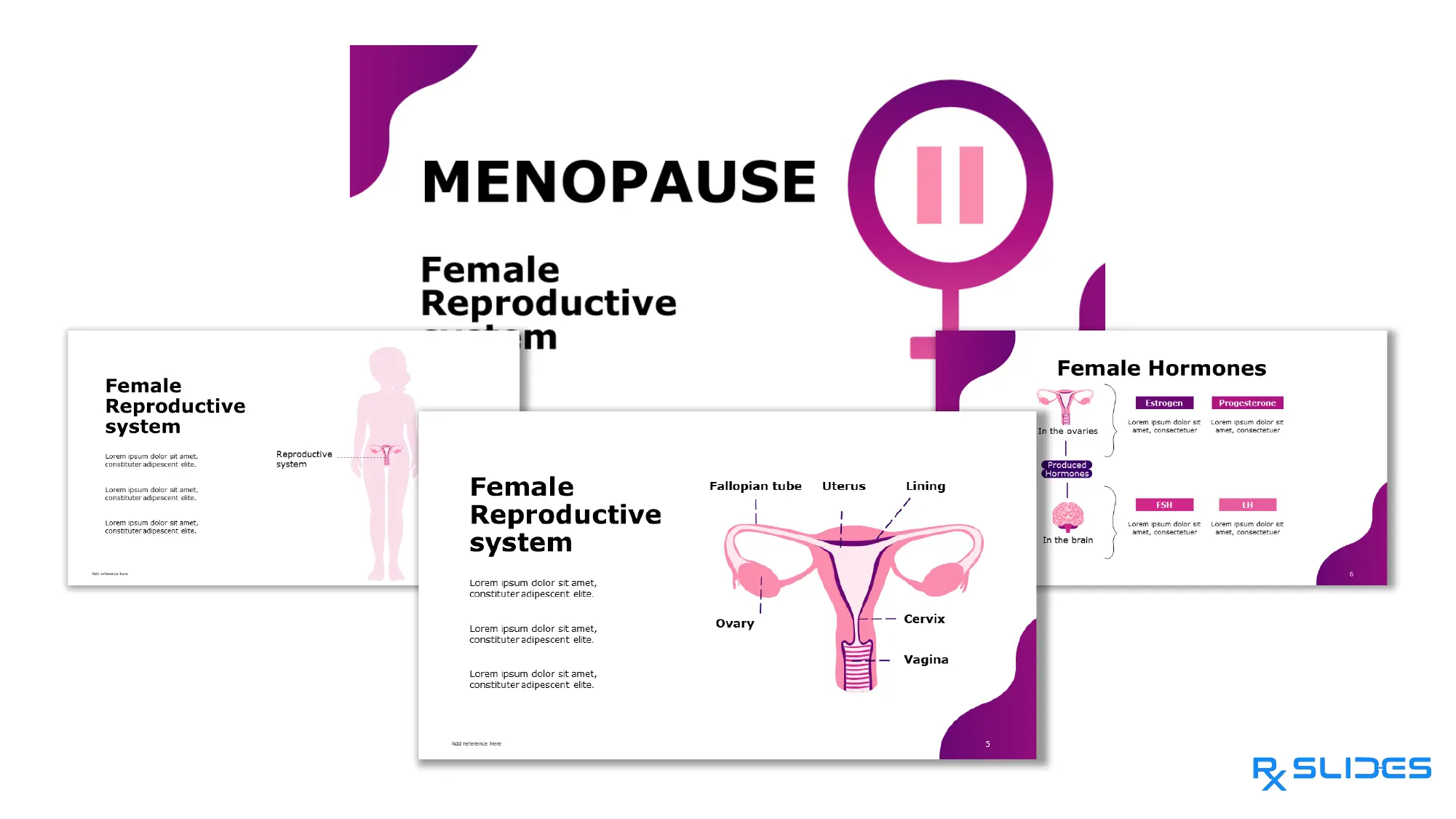 Download Menopause PowerPoint Template|RxSlides